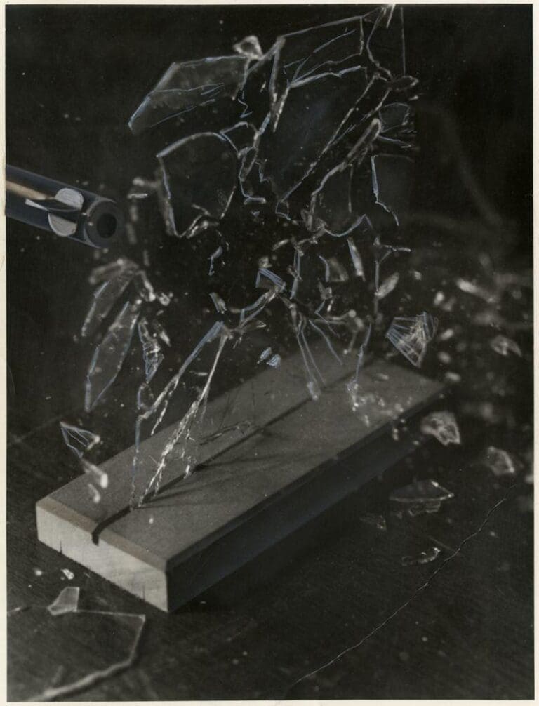Eadweard Muybridge and Harold Eugene Edgerton: The Poetics of High ...